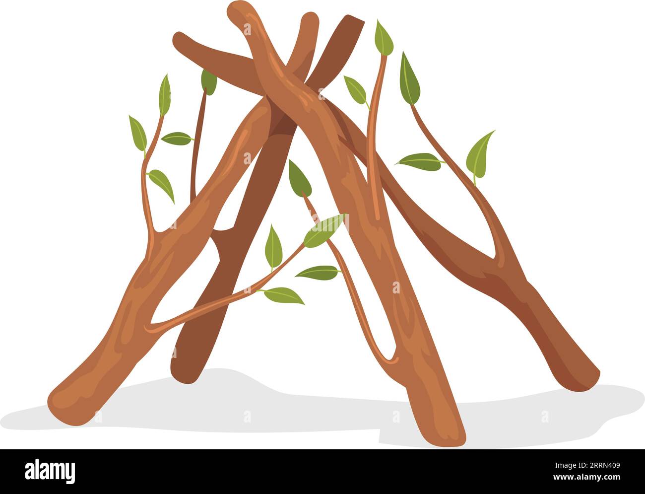 Tree branch timber stack. Dry wood stick for campfire isolated on white ...