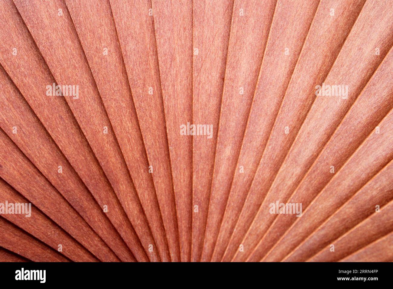 Practical structure hi-res stock photography and images - Alamy