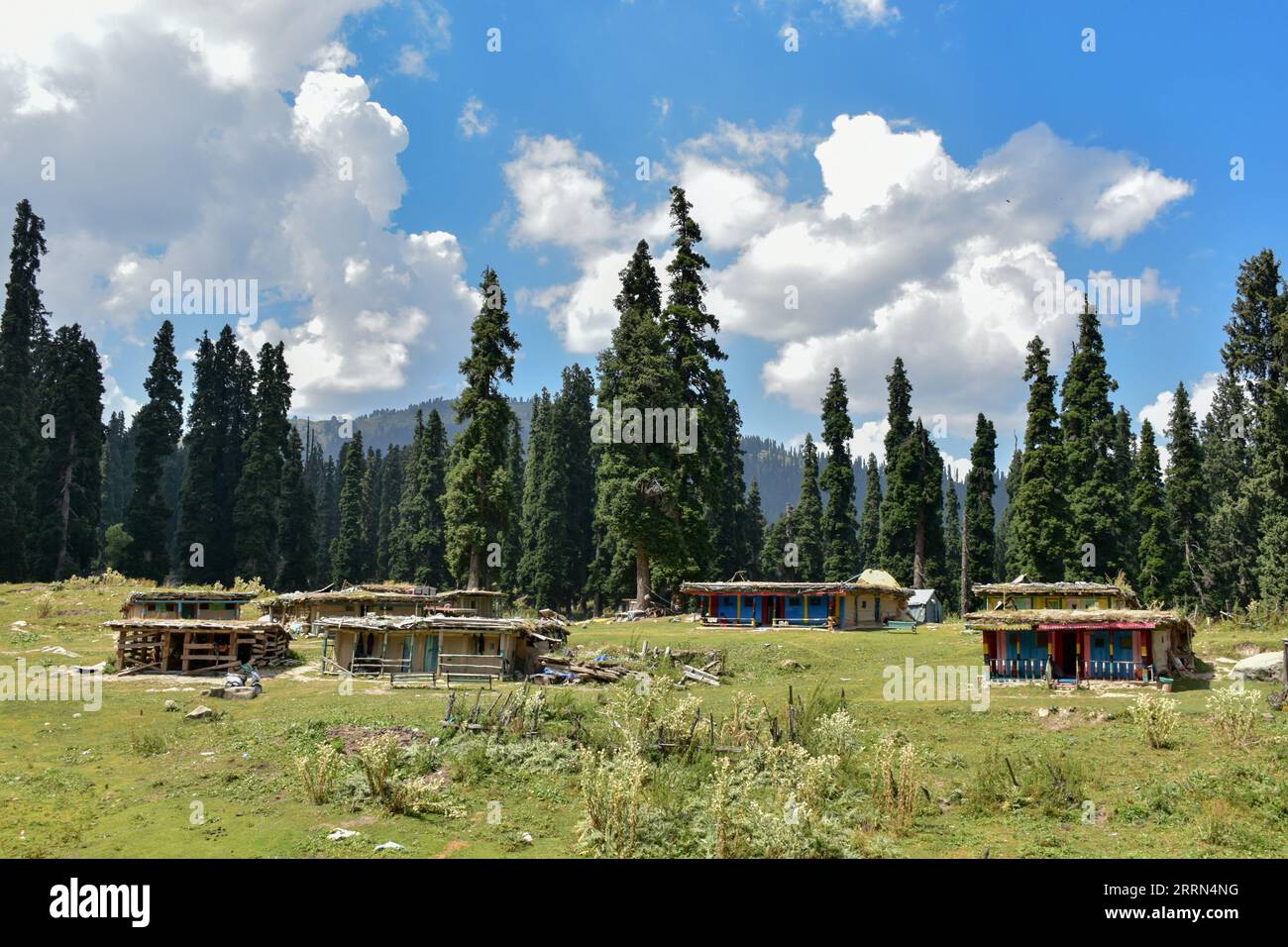 Bota Pathri, India. 08th Sep, 2023. View of houses built at Bota Pathri ...