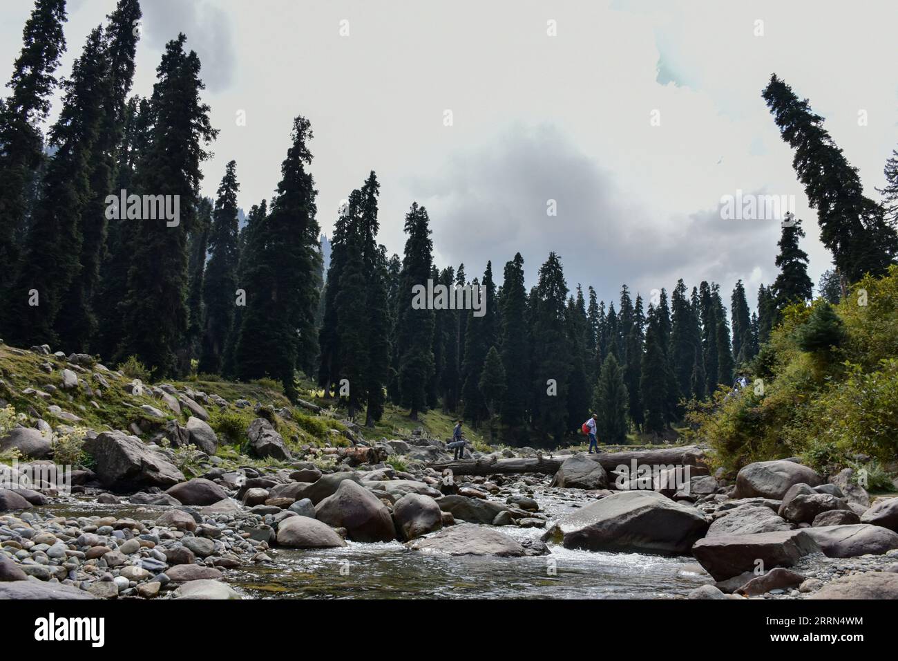 Bota Pathri, India. 08th Sep, 2023. Visitors walk on the wooden log as ...