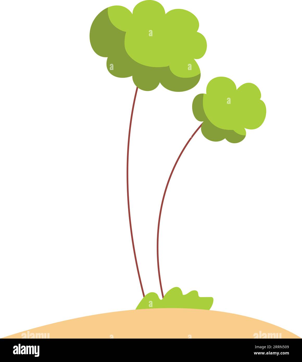 Growing tree. Summer landscape element. Nature symbol isolated on white ...