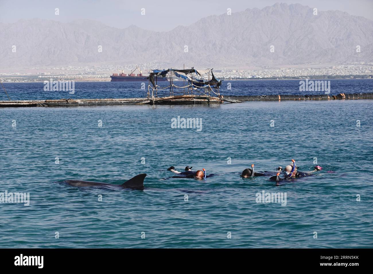 Snorkel red sea israeli hi-res stock photography and images - Alamy