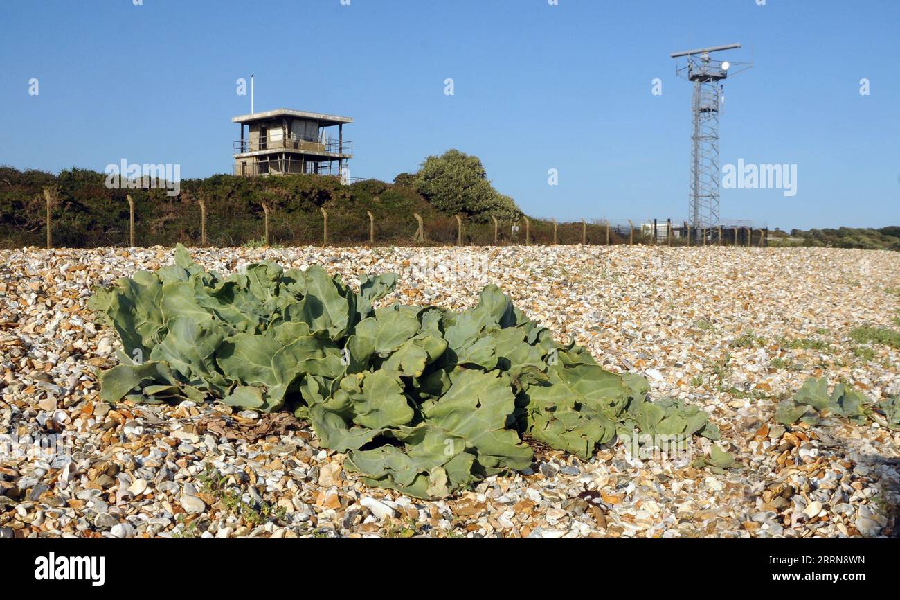 Browndown coastal path hi-res stock photography and images - Alamy