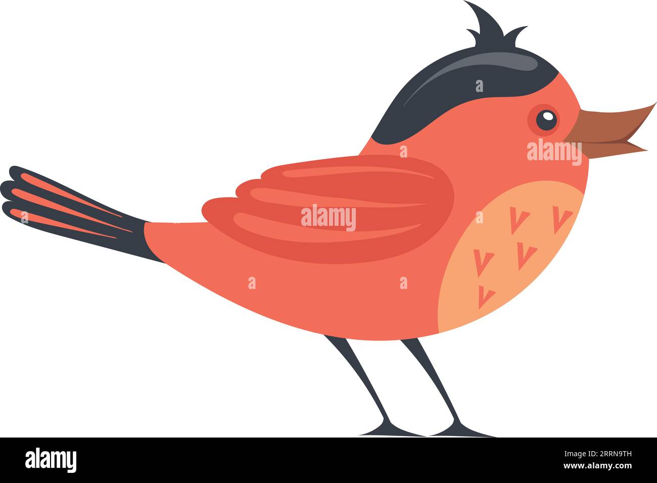Cardinal bird funny Stock Vector Images - Alamy