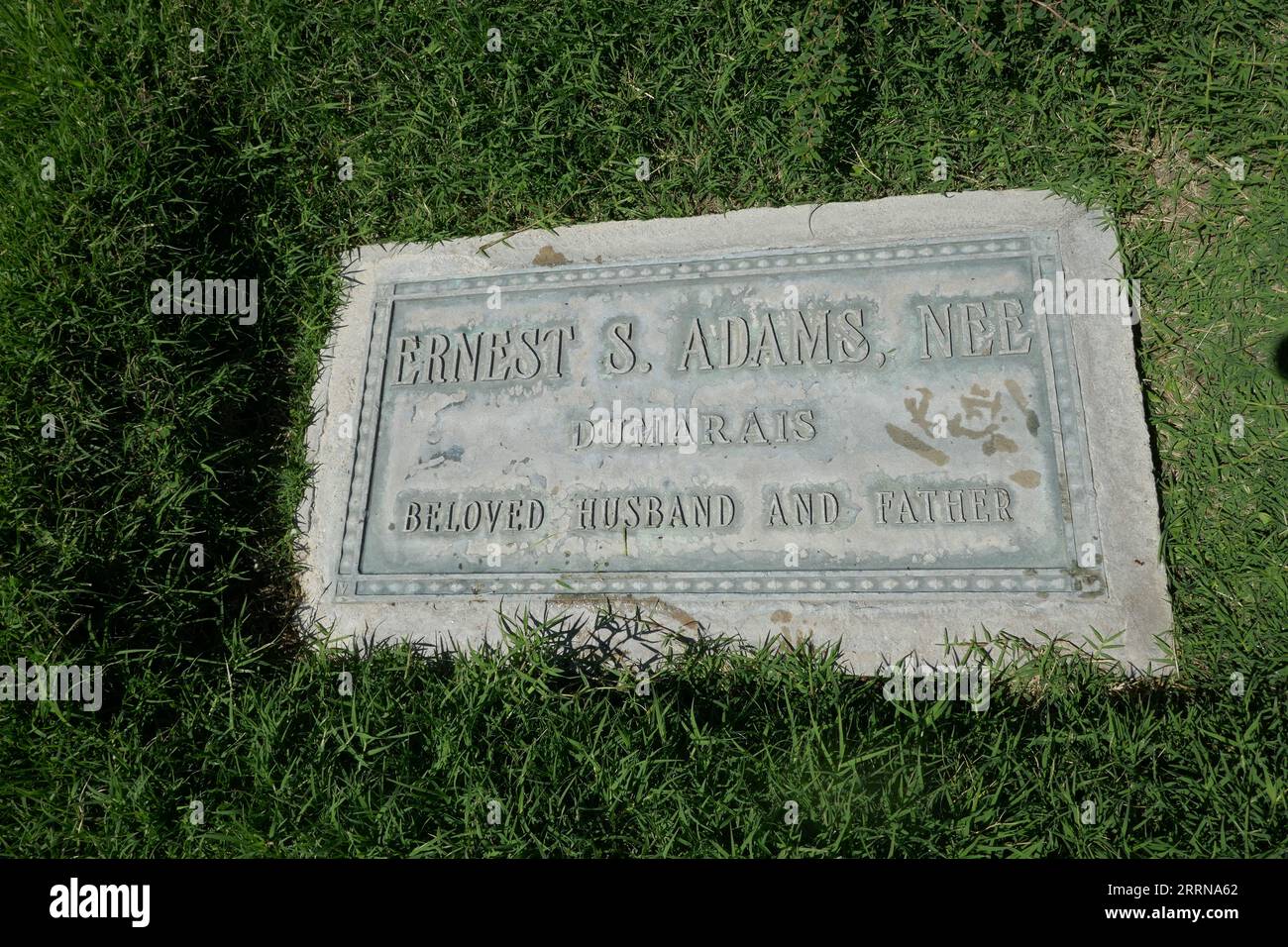 Ernest s ernie adams hi-res stock photography and images - Alamy