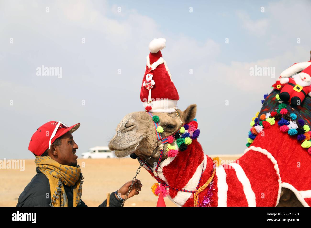 221231 -- CAIRO, Dec. 31, 2022 -- A man gets his camel dressed in Santa ...