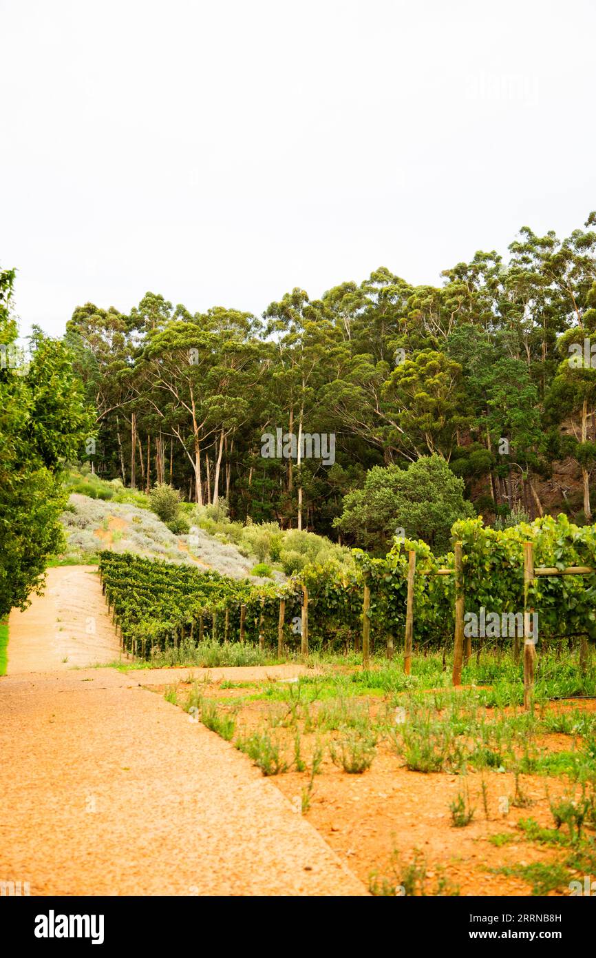 South African Farms Stock Photo - Alamy