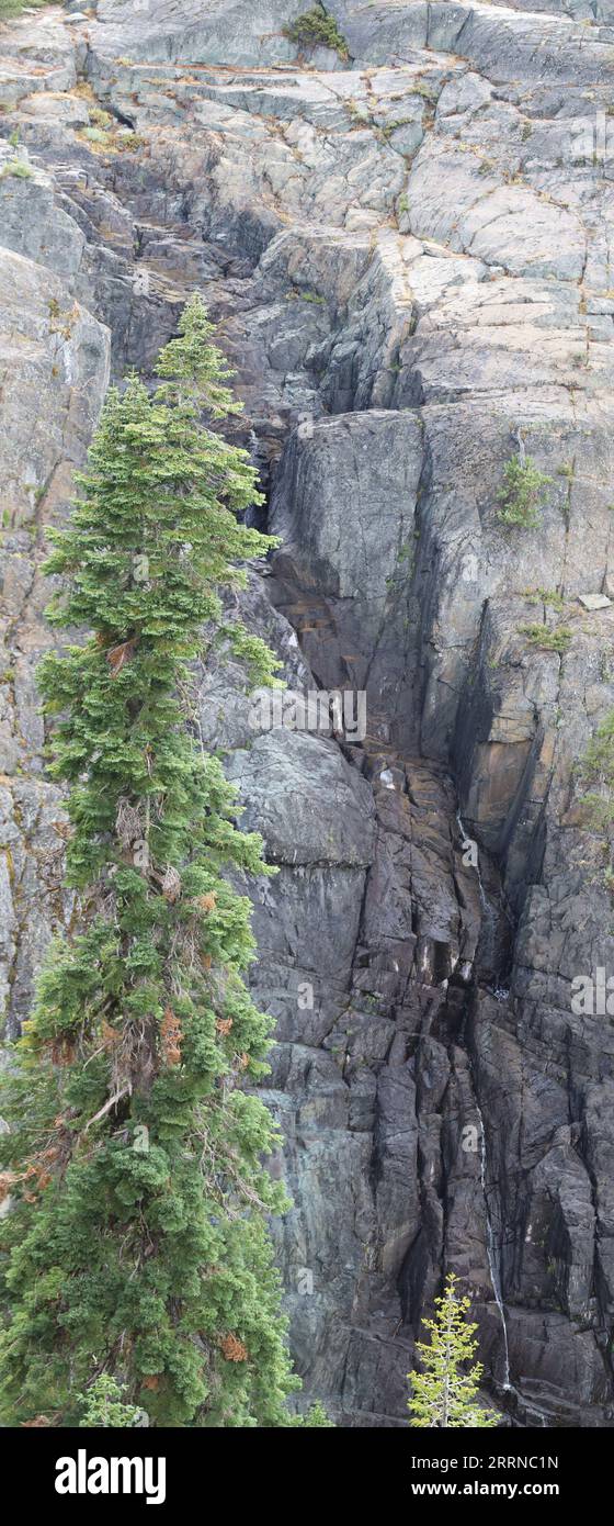 Frazier falls trail hi-res stock photography and images - Alamy