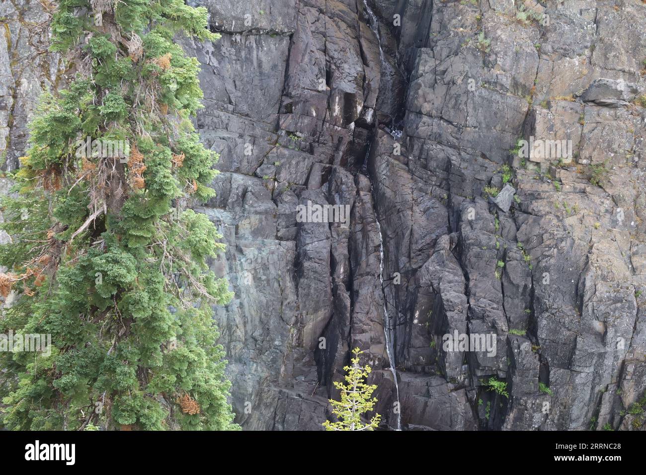 Frazier falls, Eureka plumas forest, Graegle, Lake Basin Stock Photo ...