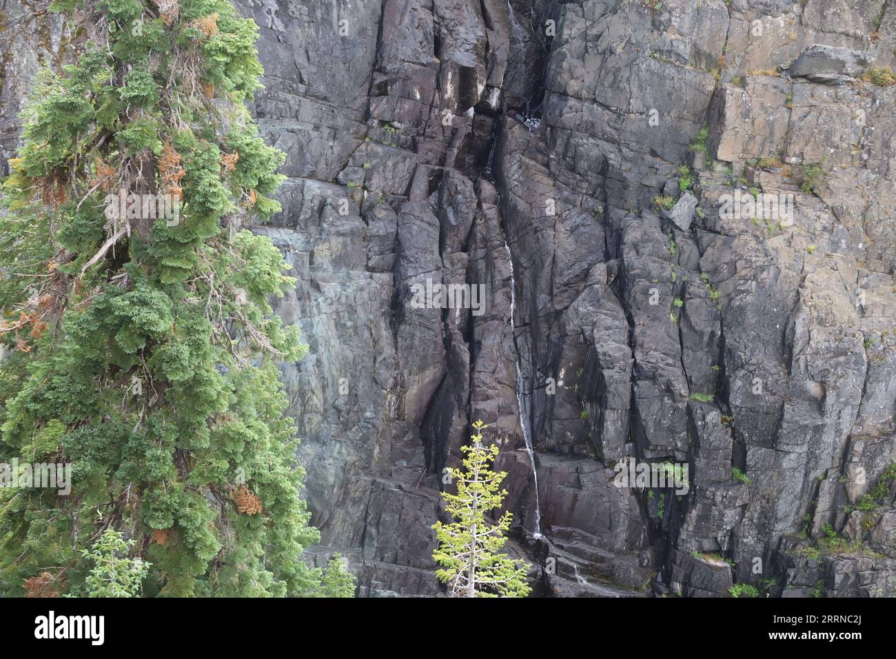 Frazier falls, Eureka plumas forest, Graegle, Lake Basin Stock Photo ...