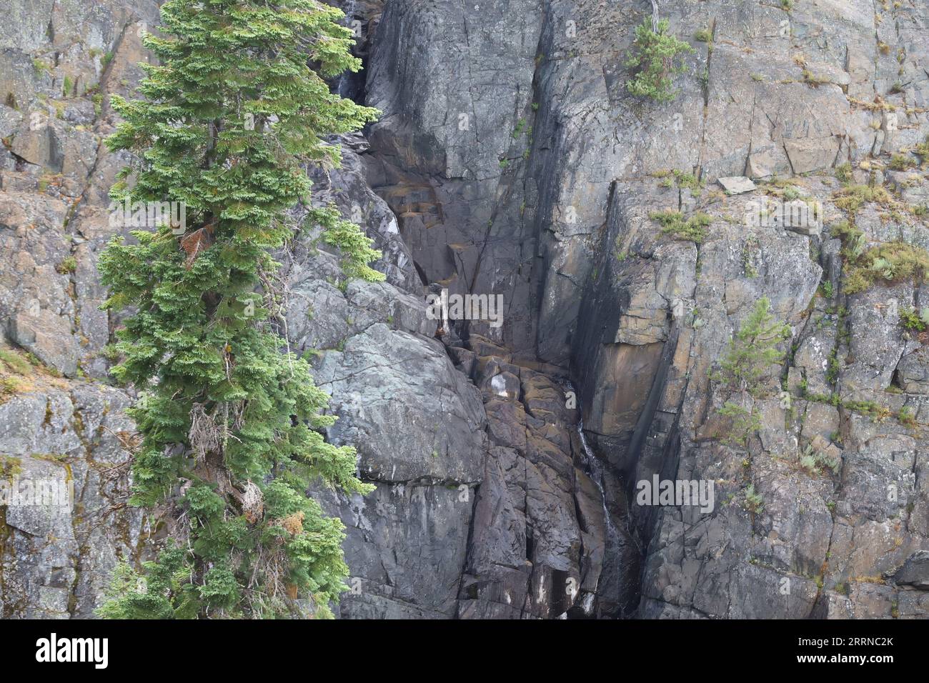 Frazier falls trail hi-res stock photography and images - Alamy