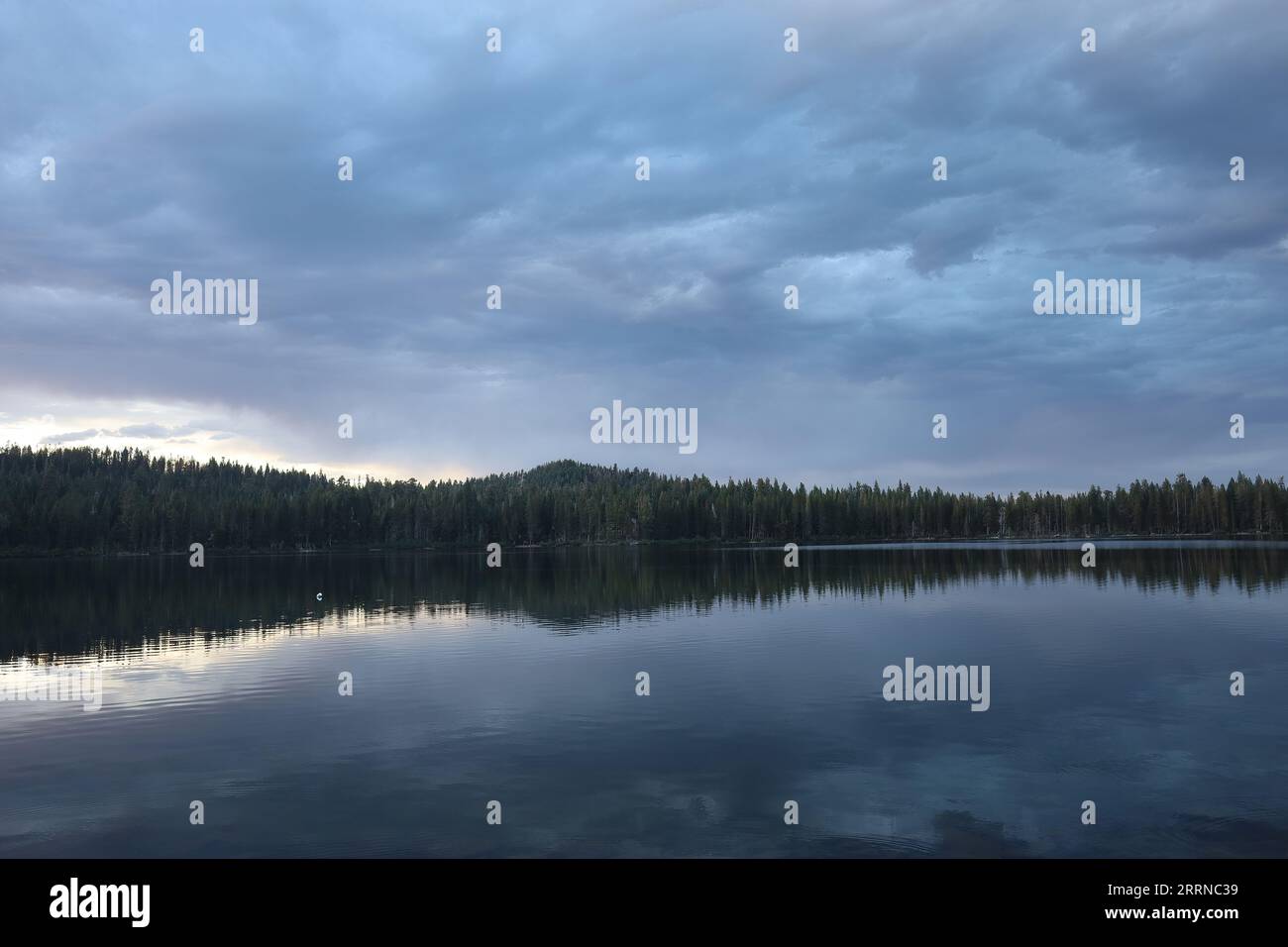 Photo of Gold Lake at Eureka Plumas Forest, Lake Basin, California ...