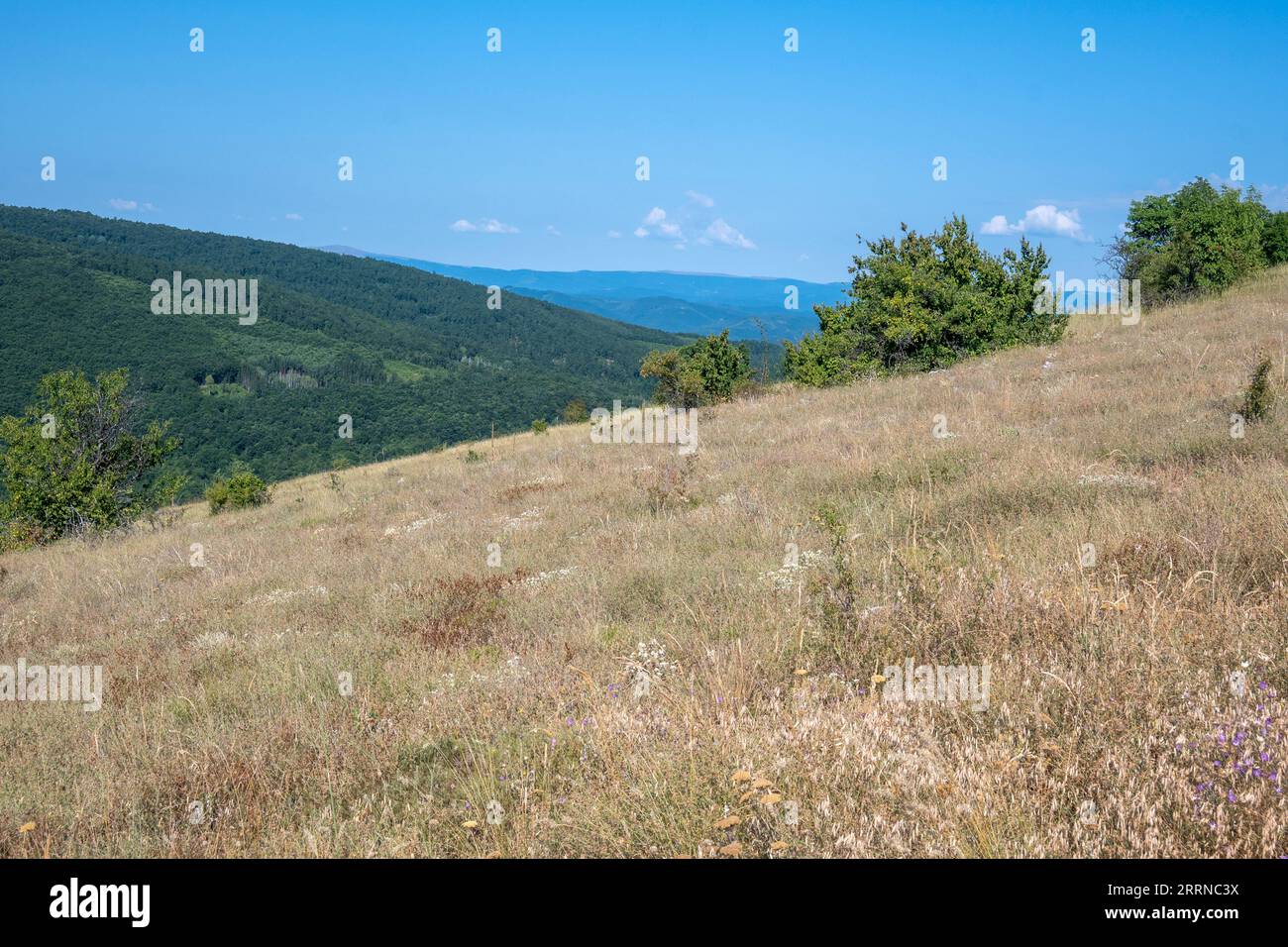 Amazing Summer Landscape of Rudina mountain, Pernik Region, Bulgaria Stock Photo - Alamy