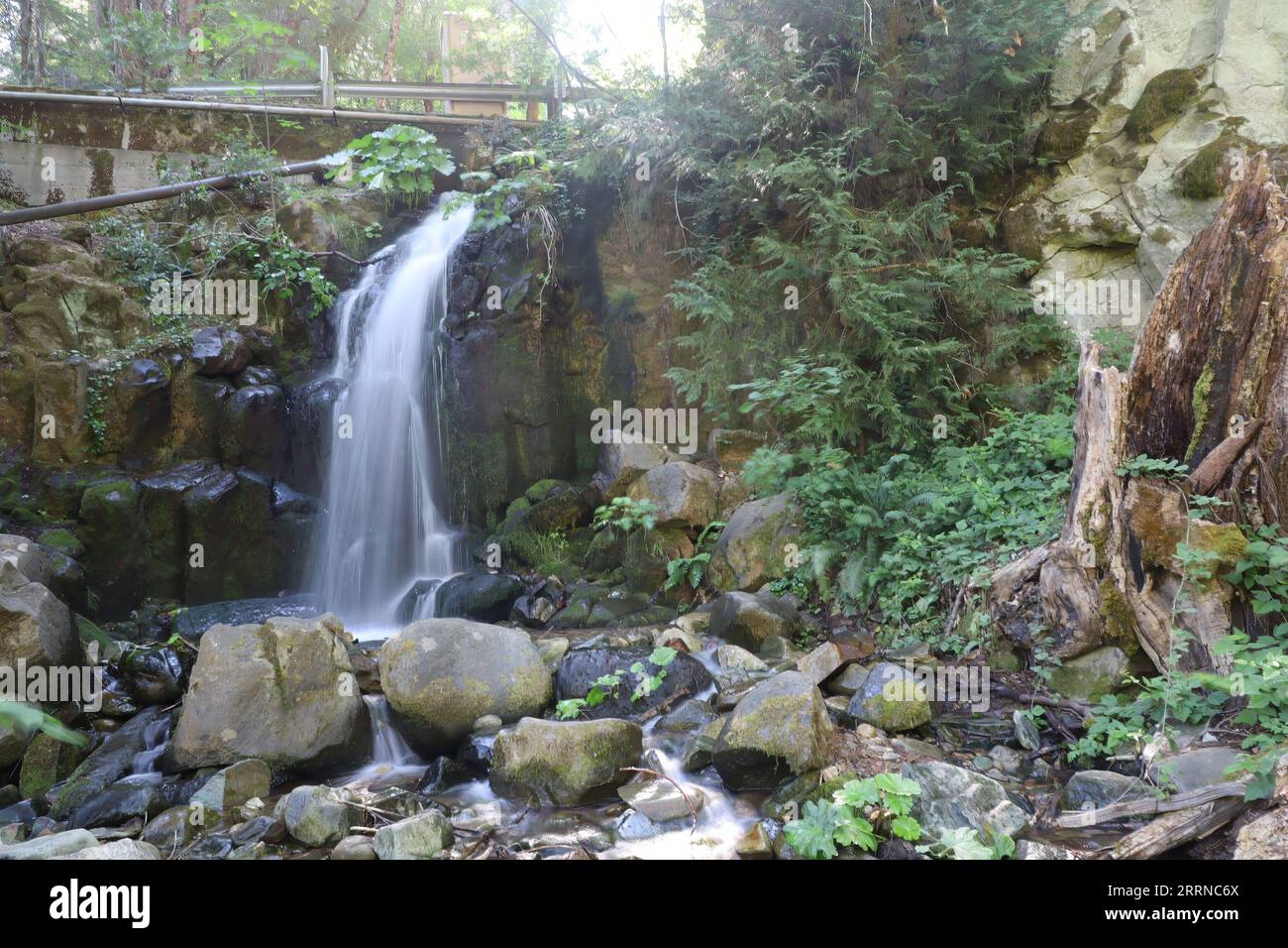 Sweetbriar lake hi-res stock photography and images - Alamy