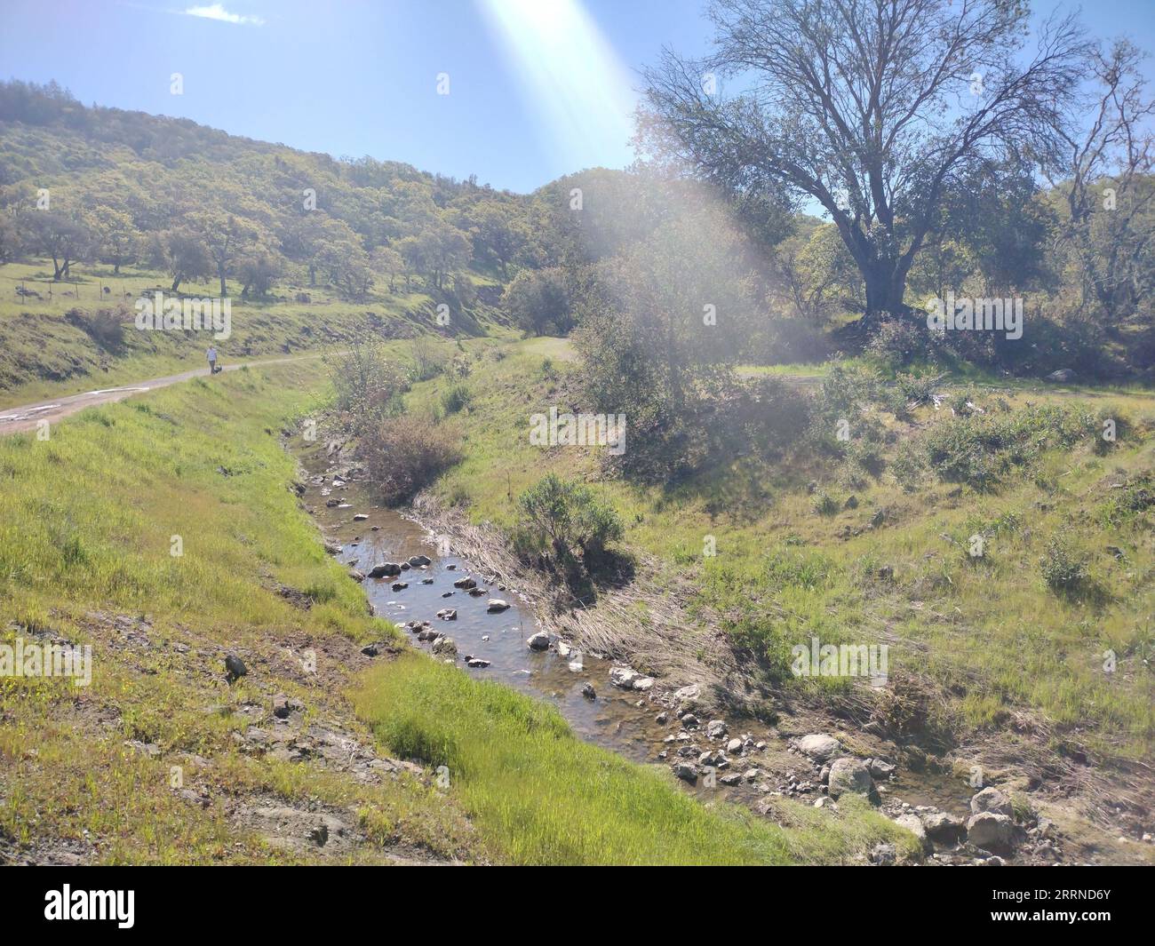 Spring lake park santa rosa hi-res stock photography and images - Alamy