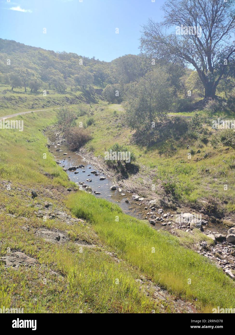 Photo of Spring lake and Santa rosa parks California Stock Photo - Alamy