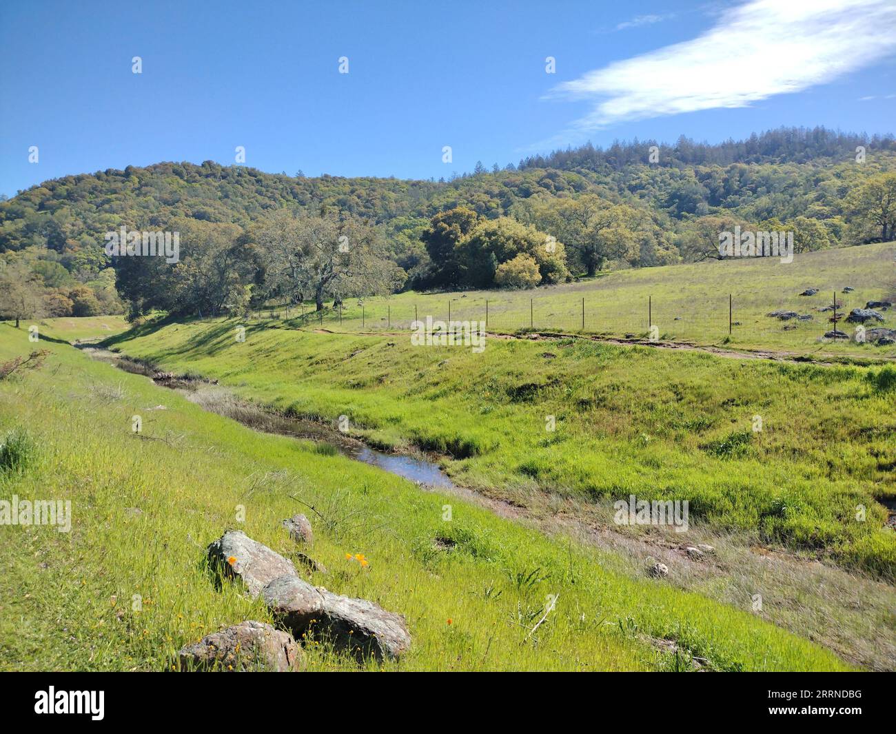 Spring lake park santa rosa hi-res stock photography and images - Alamy