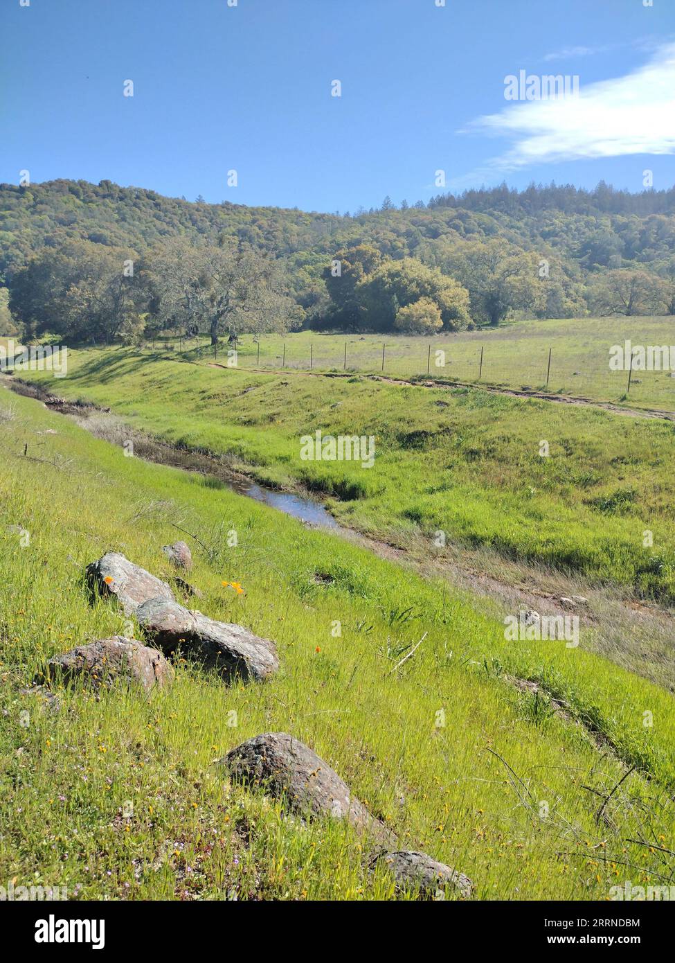 Spring lake park santa rosa hi-res stock photography and images - Alamy
