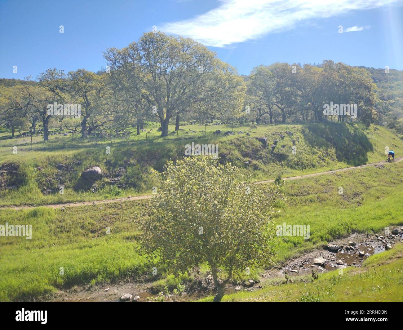 Spring lake park santa rosa hi-res stock photography and images - Alamy