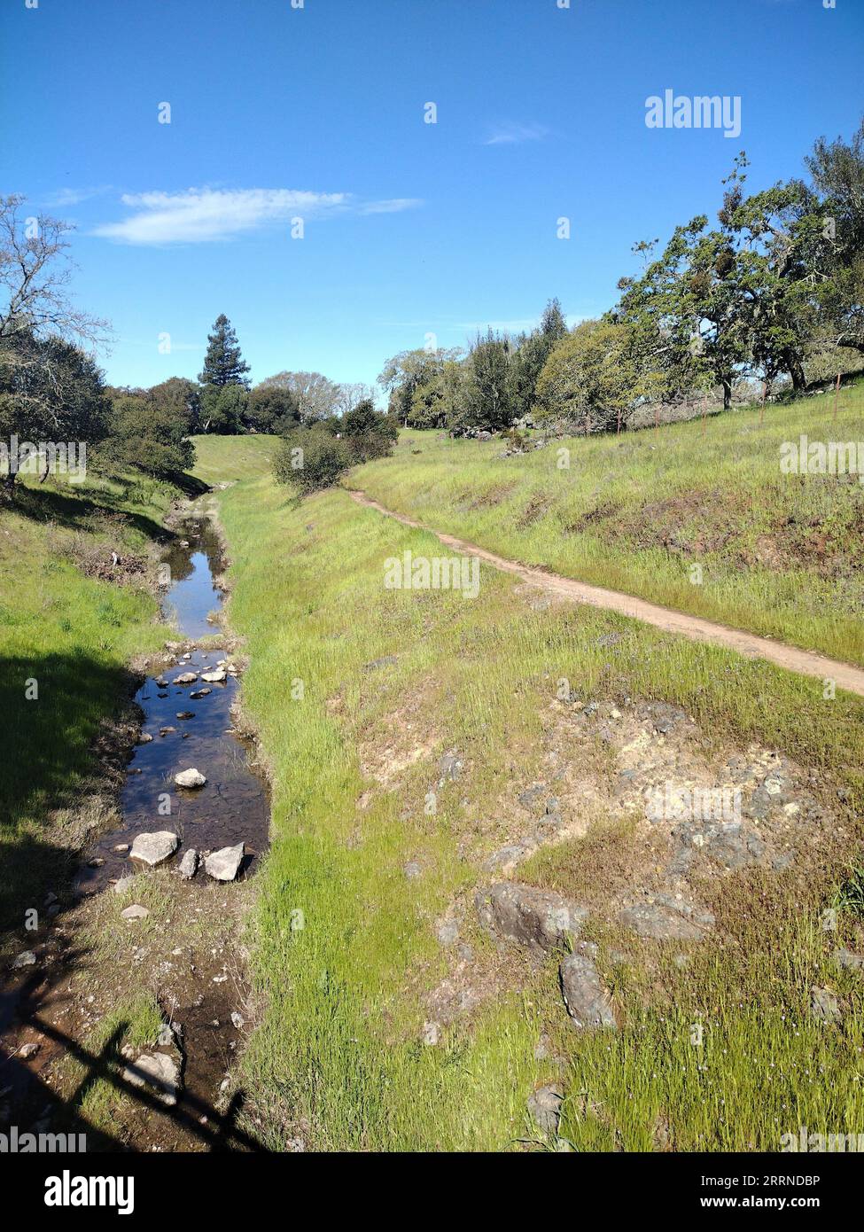 Photo of Spring lake and Santa rosa parks California Stock Photo - Alamy