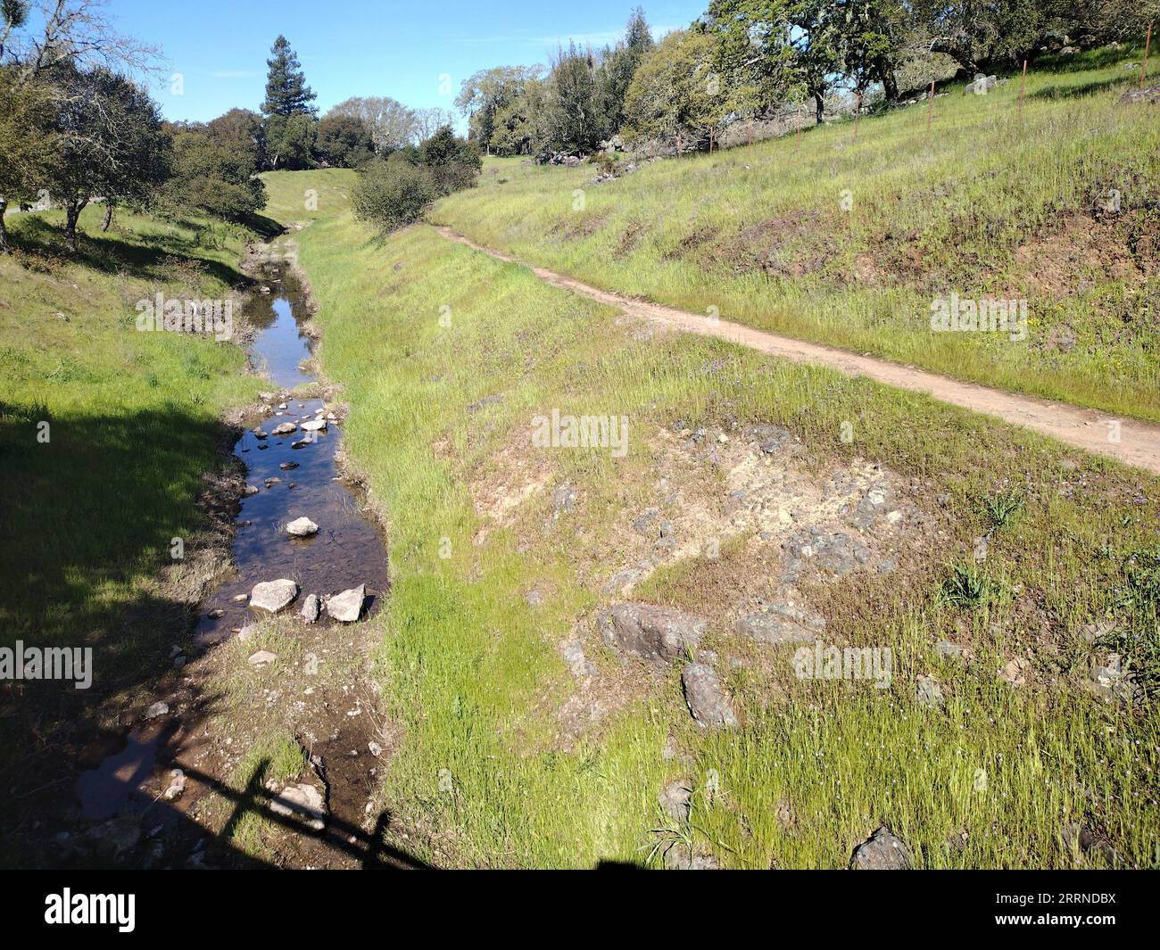 Spring lake park santa rosa hi-res stock photography and images - Alamy