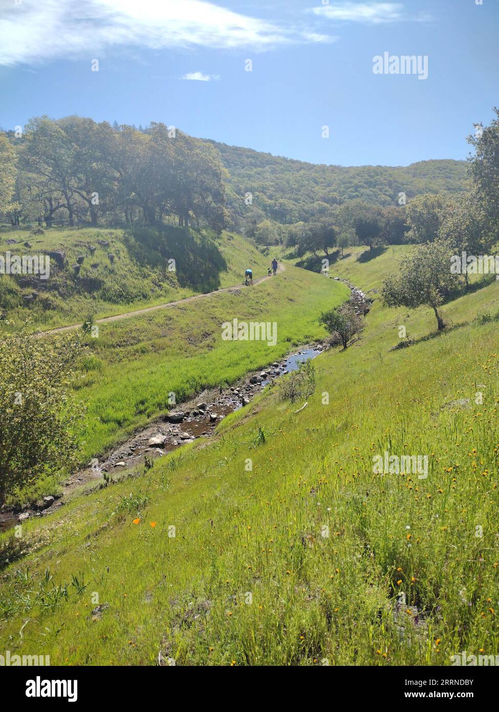 Spring lake park santa rosa hi-res stock photography and images - Alamy