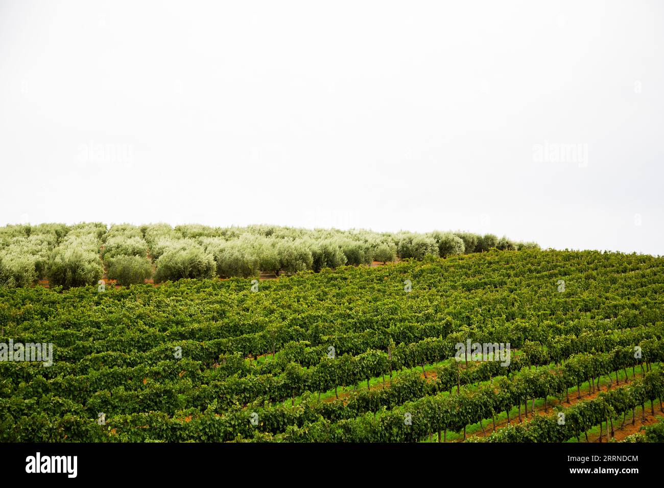 South African Farms Stock Photo - Alamy