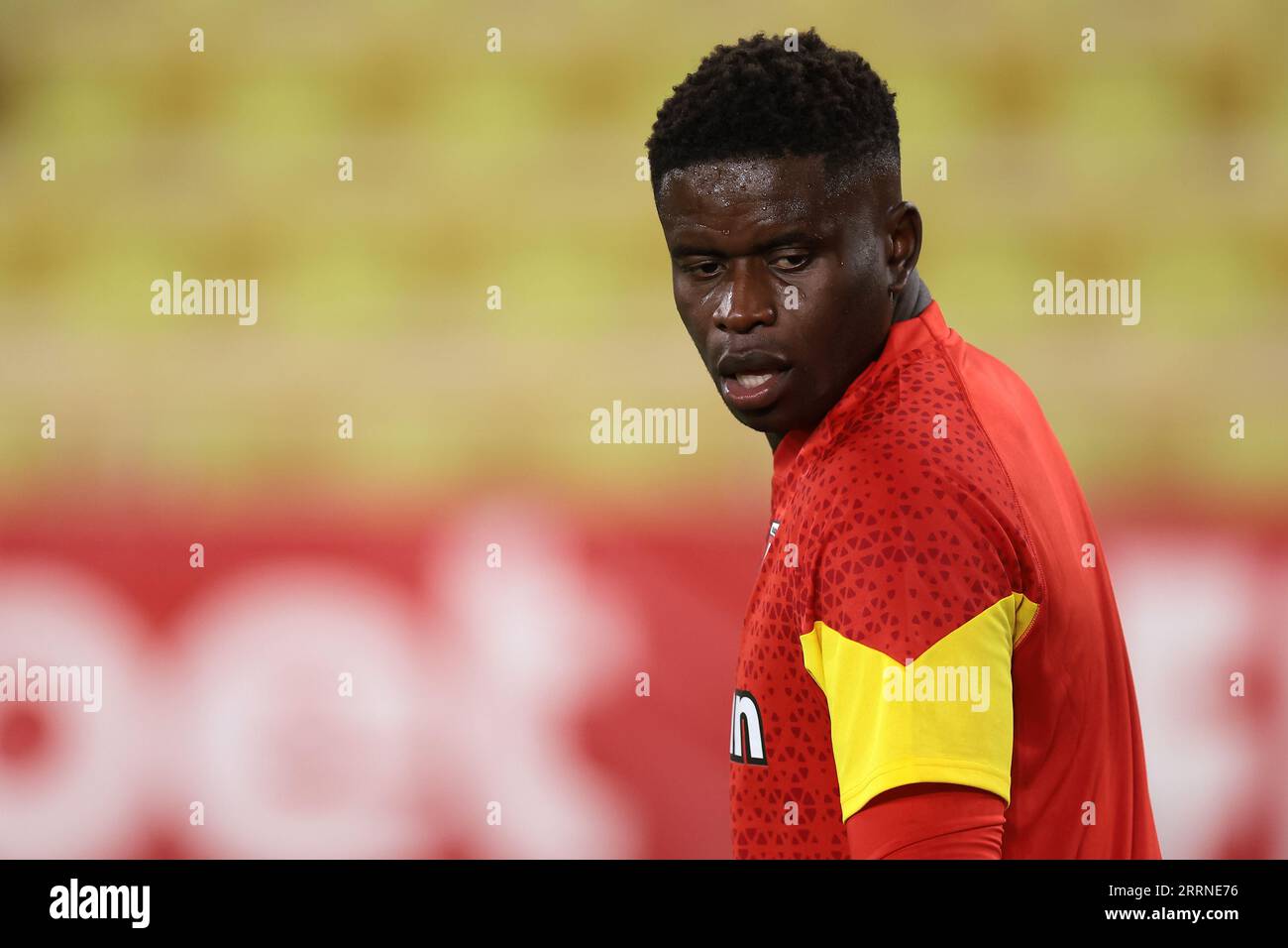 Brice samba flag hi-res stock photography and images - Alamy
