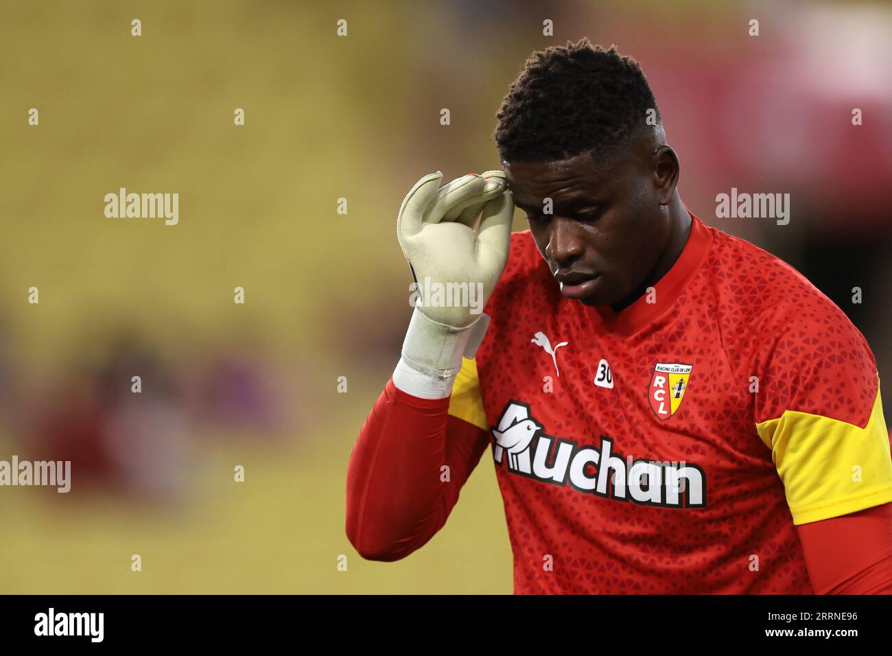 Brice samba flag hi-res stock photography and images - Alamy