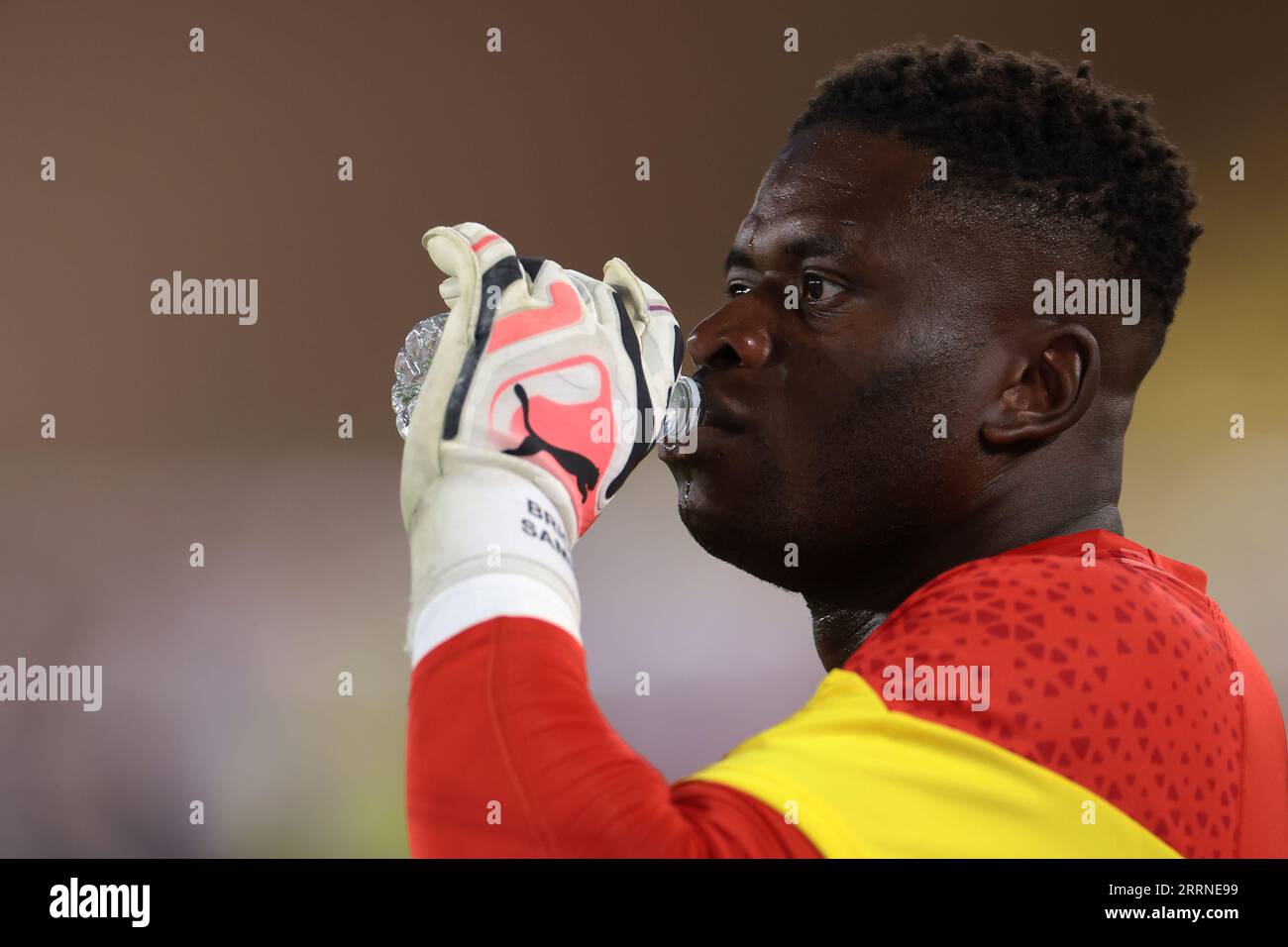 Brice samba flag hi-res stock photography and images - Alamy