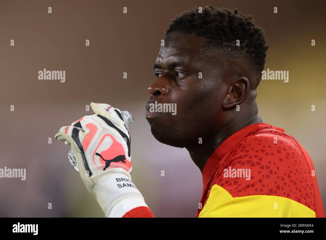 Brice samba flag hi-res stock photography and images - Alamy