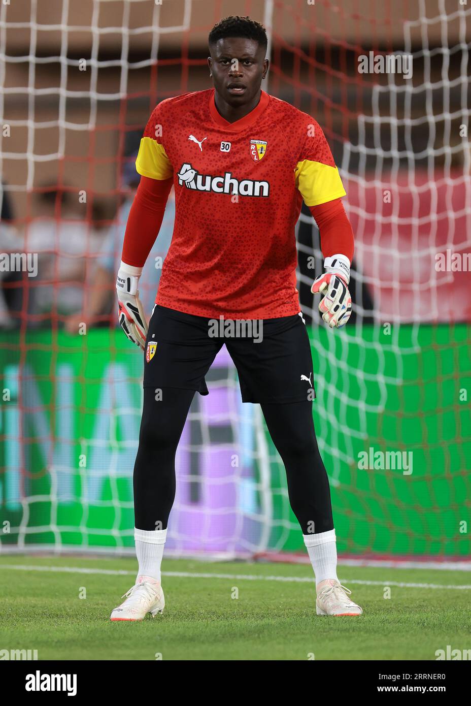 Brice samba flag hi-res stock photography and images - Alamy