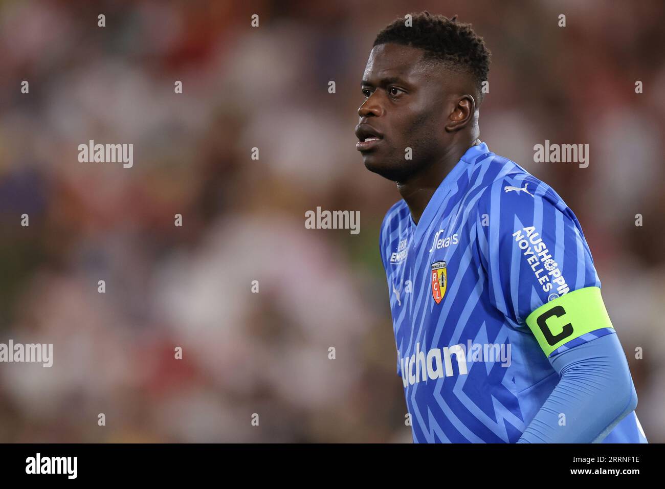 Brice samba flag hi-res stock photography and images - Alamy