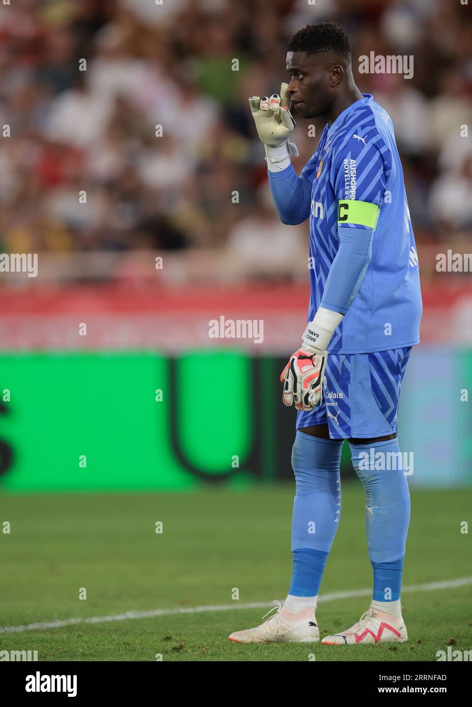 Brice samba flag hi-res stock photography and images - Alamy