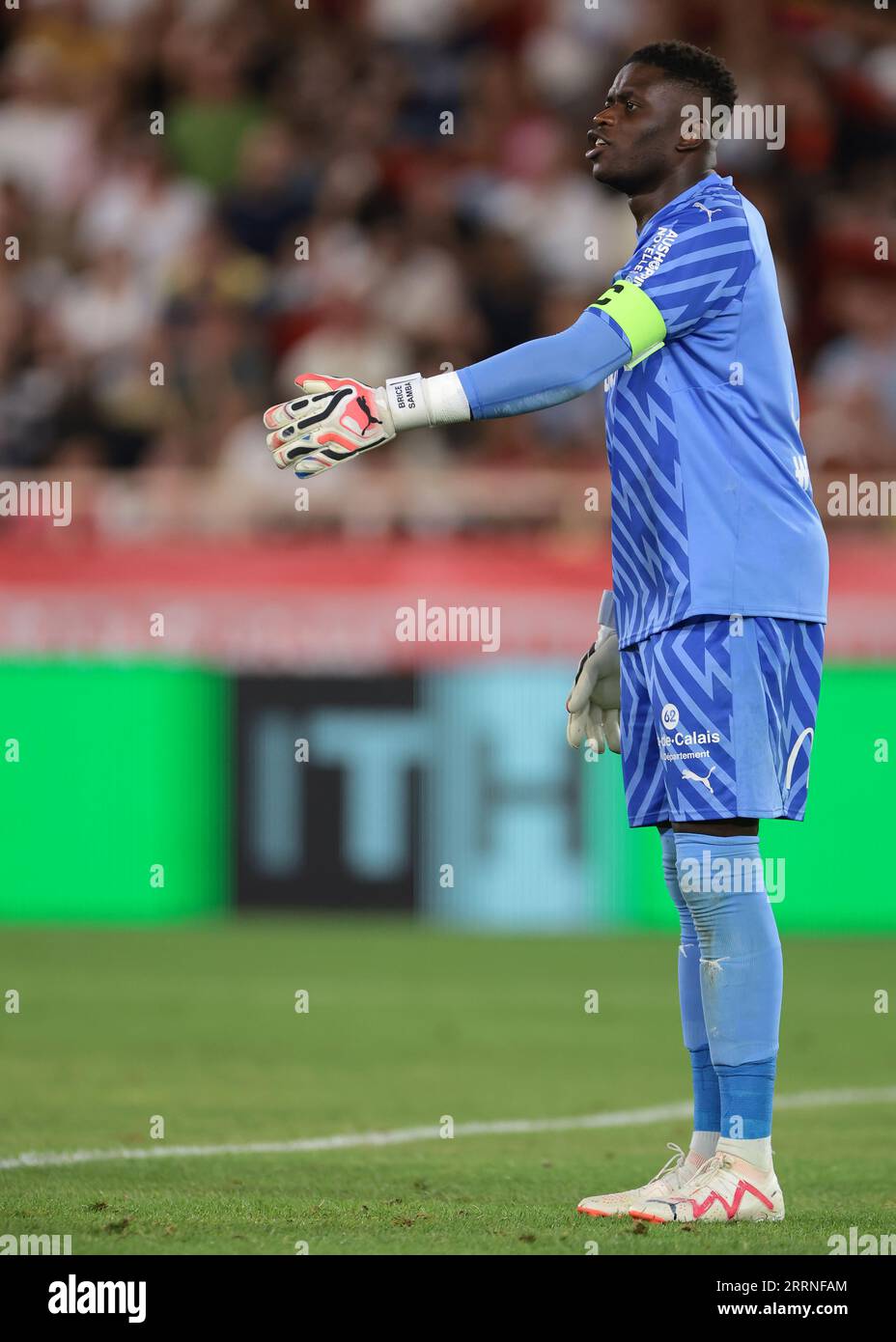 Brice samba flag hi-res stock photography and images - Alamy