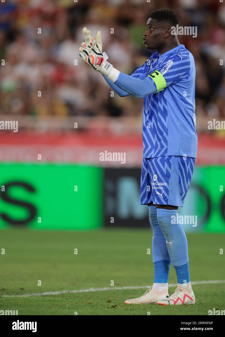 Brice samba flag hi-res stock photography and images - Alamy