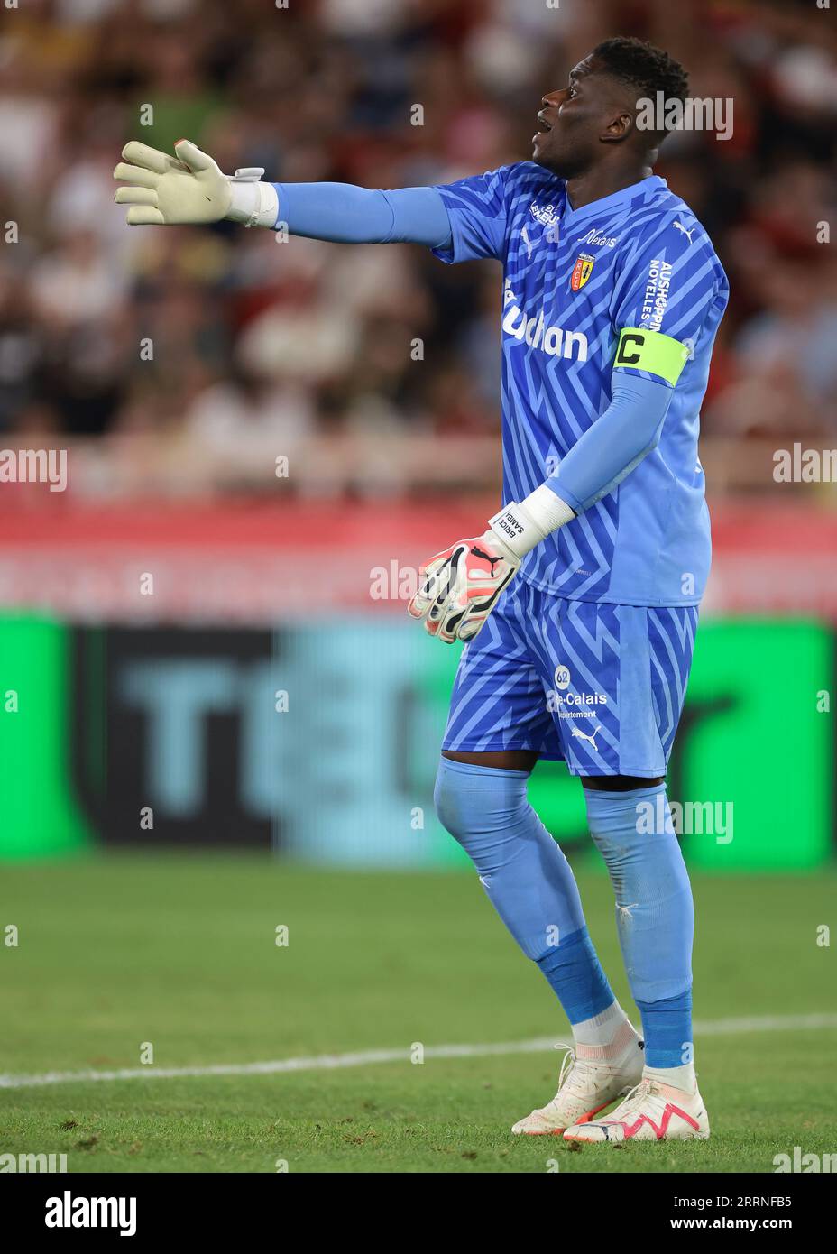 Brice samba flag hi-res stock photography and images - Alamy