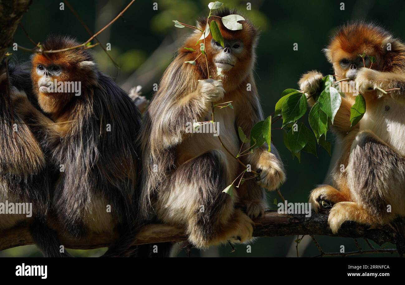 230109 -- BEIJING, Jan. 9, 2023 -- This photo taken on April 26, 2022 ...