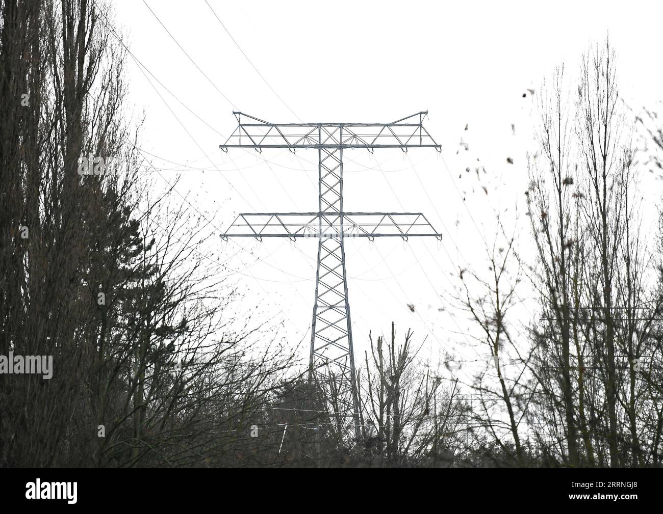 230112 -- BERLIN, Jan. 12, 2023 -- This photo taken on Jan. 9, 2023 ...