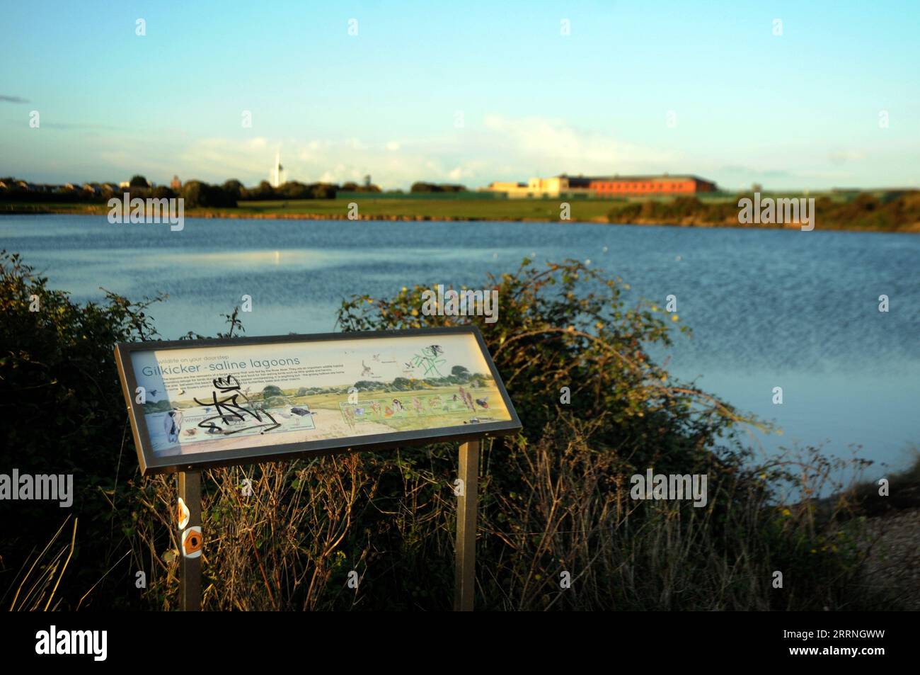 Saline lagoons hi-res stock photography and images - Alamy