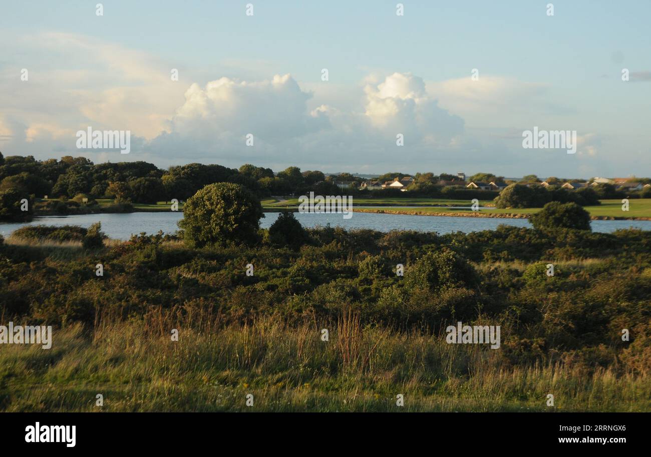 GILKICKER SALINE LAGOONS, GOSPORT. PIC MIKE WALKER 2023 Stock Photo - Alamy