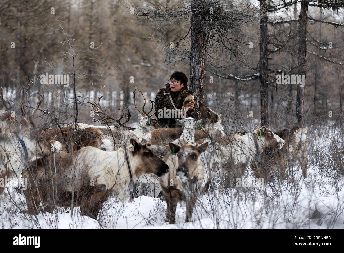 Moving away gift hi-res stock photography and images - Alamy