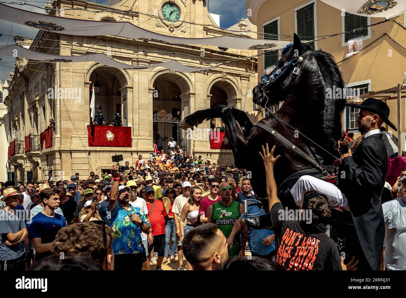Mahon, Spain. 8th Sep, 2023. A 'caixer' (horse rider) rears up on his ...