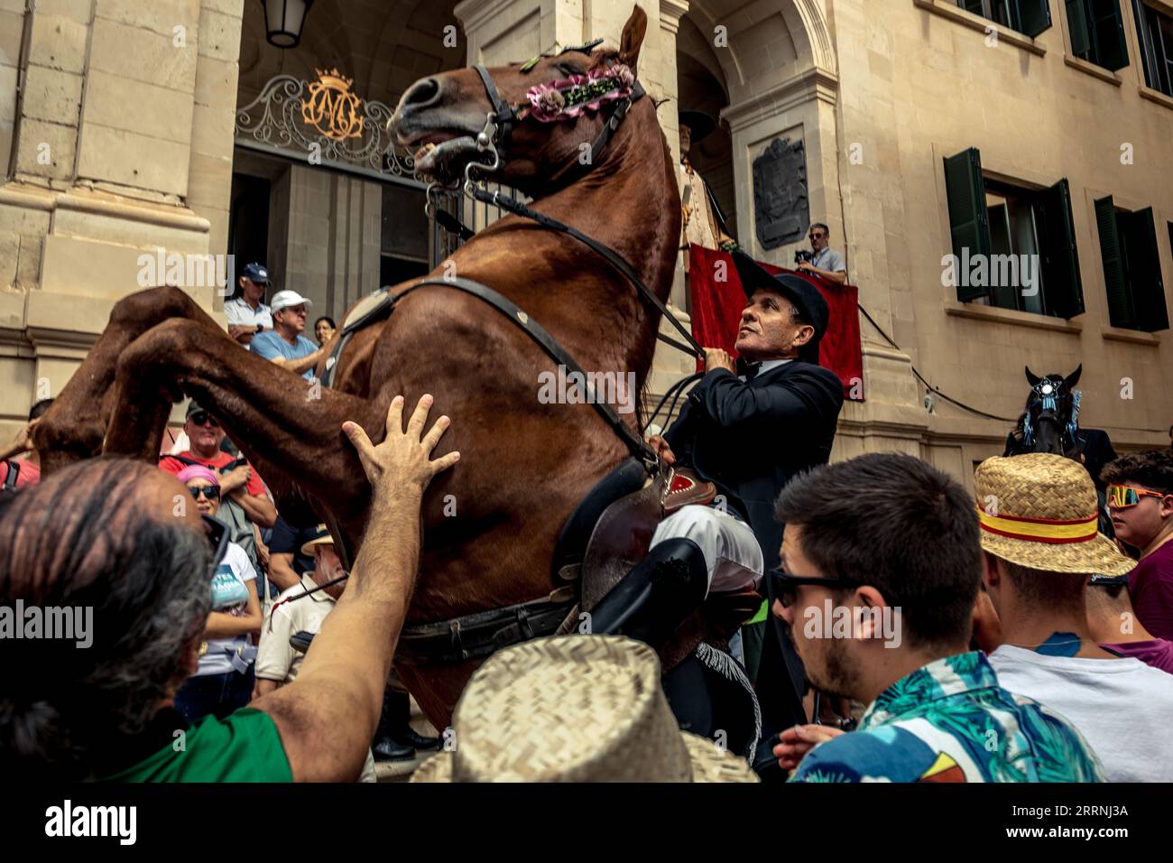 Mahon, Spain. 8th Sep, 2023. A 'caixer' (horse rider) rears up on his ...