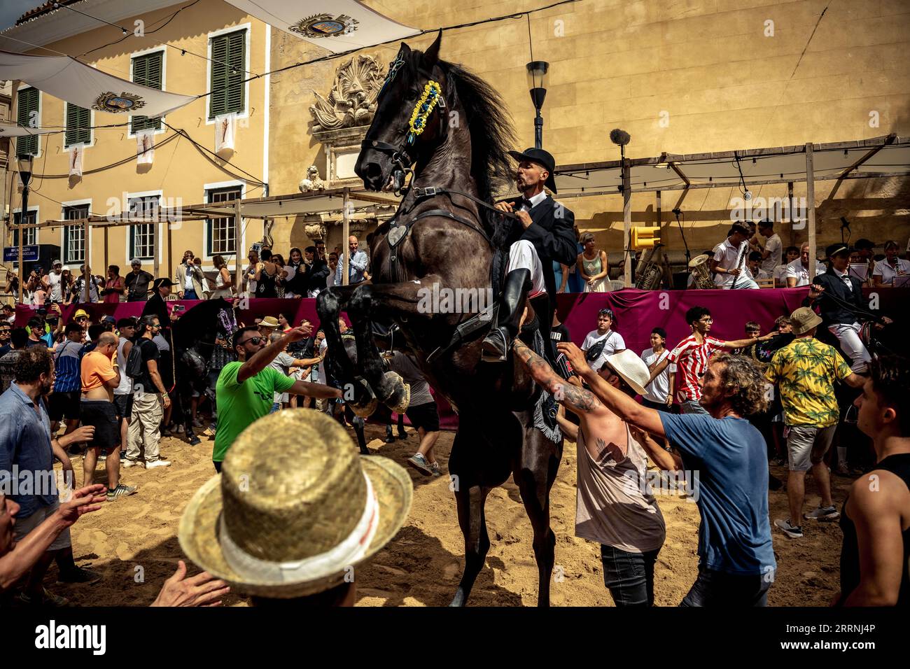 Mahon, Spain. 8th Sep, 2023. A 'caixer' (horse rider) rears up on his ...