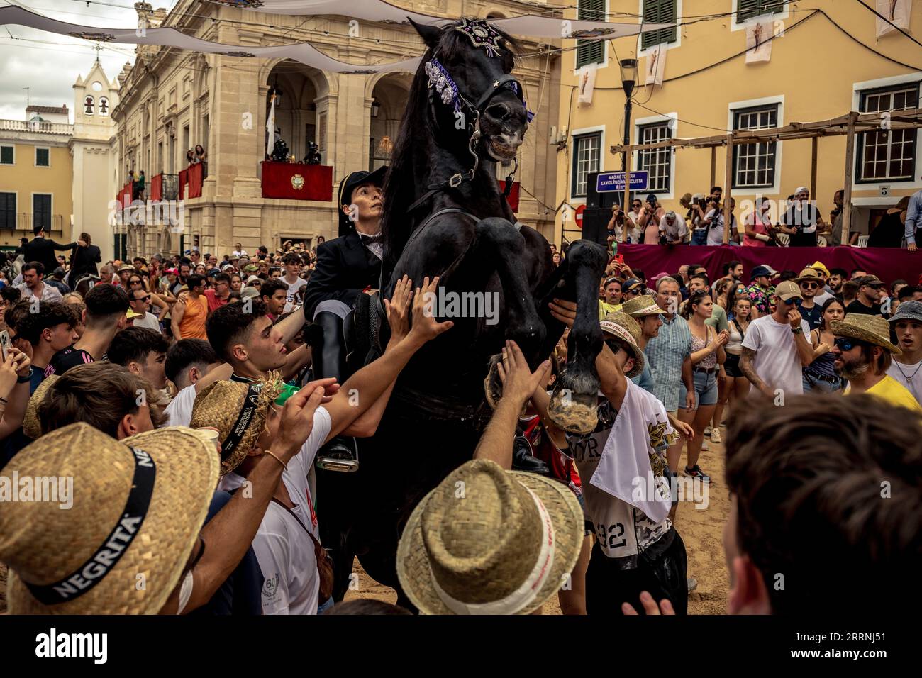 Mahon, Spain. 8th Sep, 2023. A 'caixer' (horse rider) rears up on his ...
