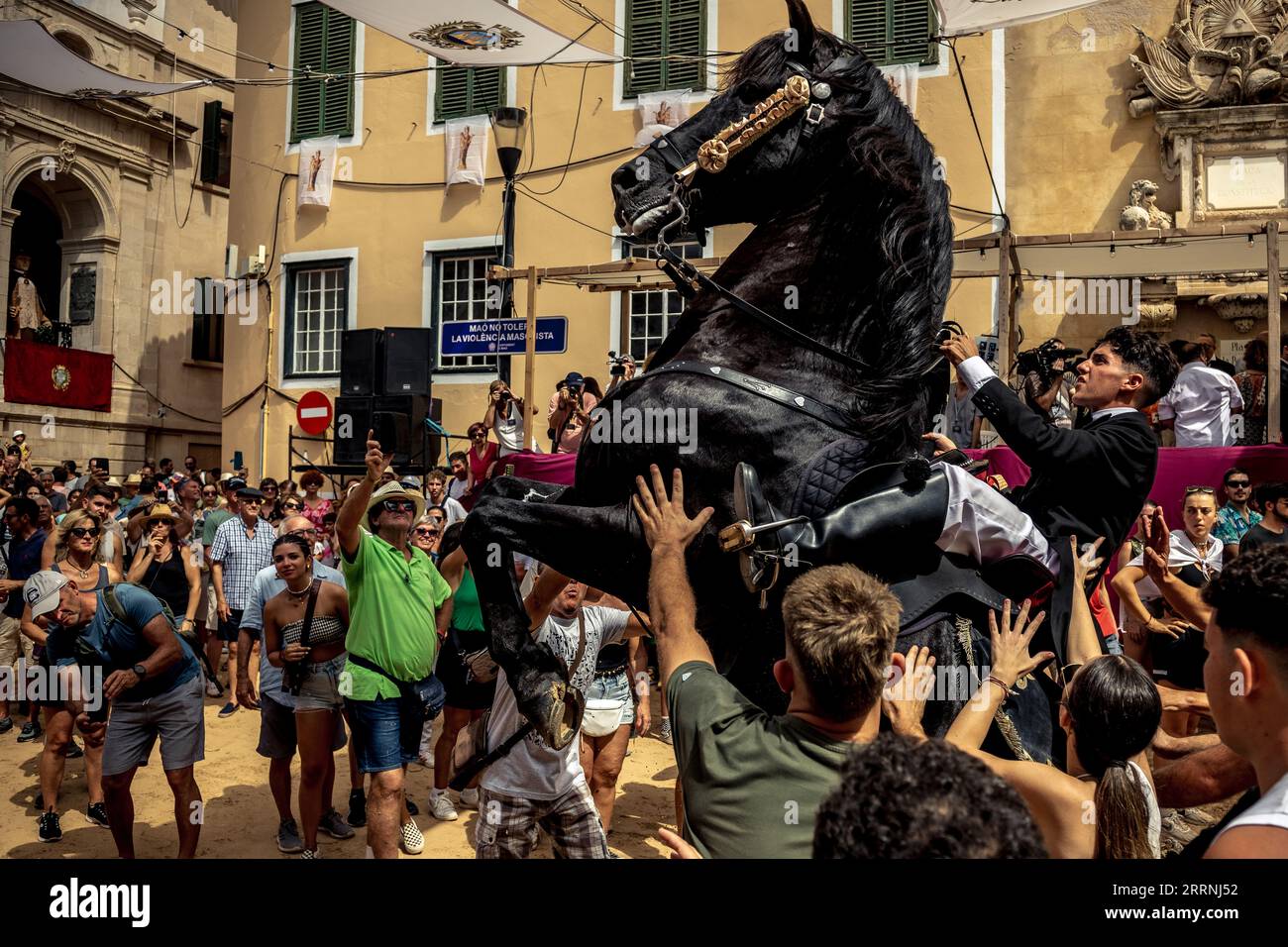 Mahon, Spain. 8th Sep, 2023. A 'caixer' (horse rider) rears up on his ...
