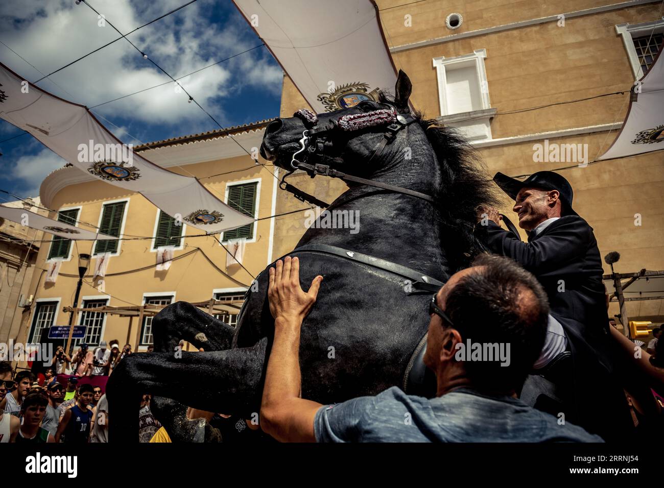 Mahon, Spain. 8th Sep, 2023. A 'caixer' (horse rider) rears up on his ...