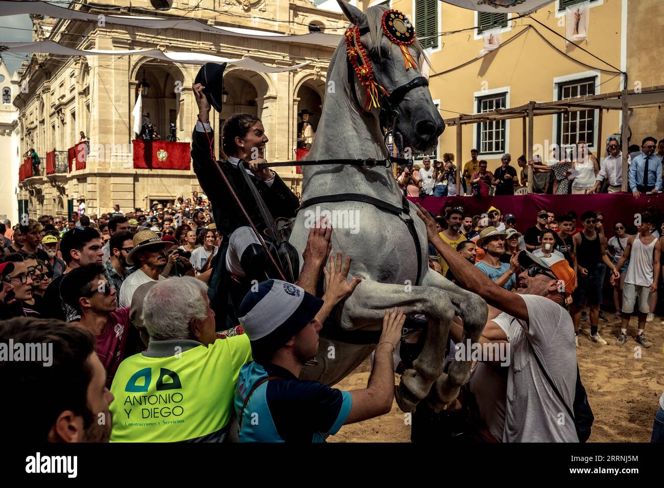 Mahon, Spain. 8th Sep, 2023. A 'caixer' (horse rider) rears up on his ...