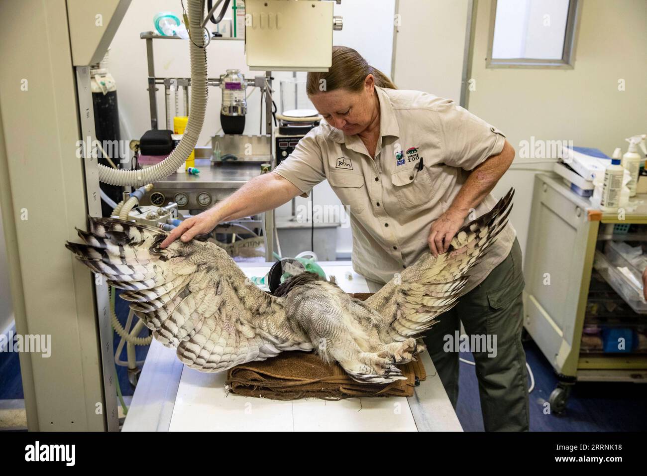 230118 -- JOHANNESBURG, Jan. 18, 2023 -- A veterinarian gives health ...